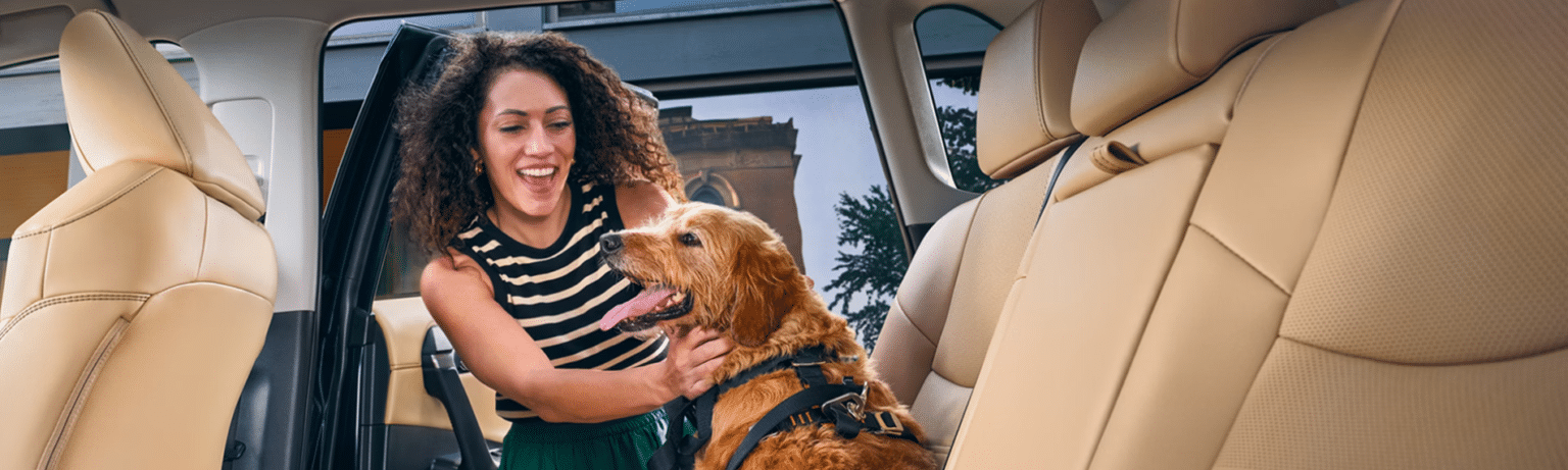 טויוטה ראב 4 2025 בגרסה החדשה כבר כאן: מבחן הדרכים של ליסי! - leassi